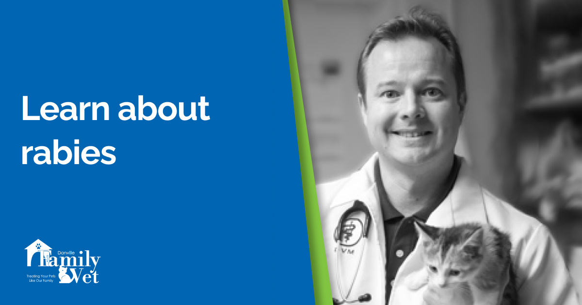 Learn About Rabies | Danville Family Vet