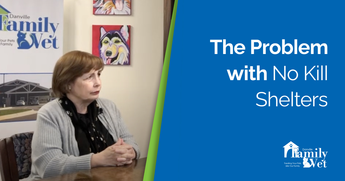 The Problem with No Kill Shelters