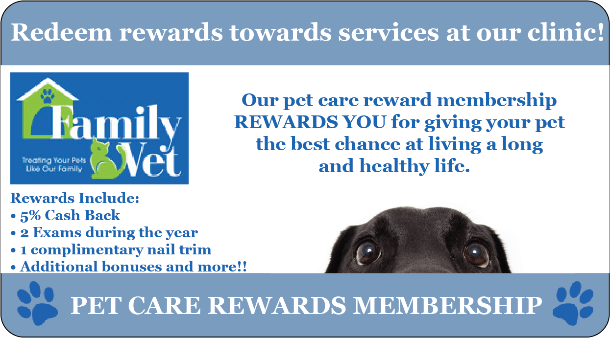 Family Vet Animal Clinic Pet Care Rewards Membership