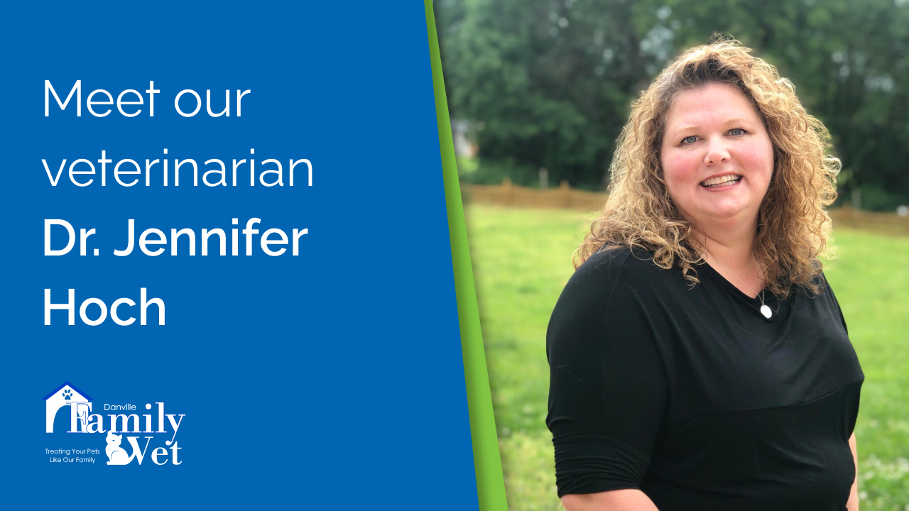 Dr. Jennifer Hoch | Mobile Veterinary Surgeon