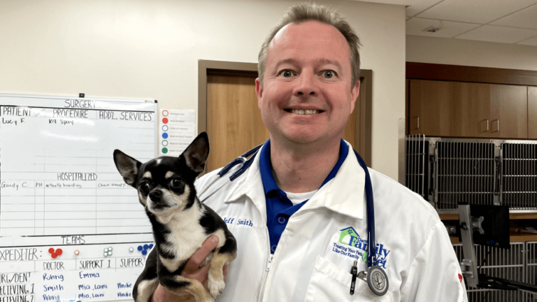 Comprehensive Wellness Services for Your Pet